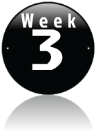 Quick Calls: Week 3 – Football Zebras