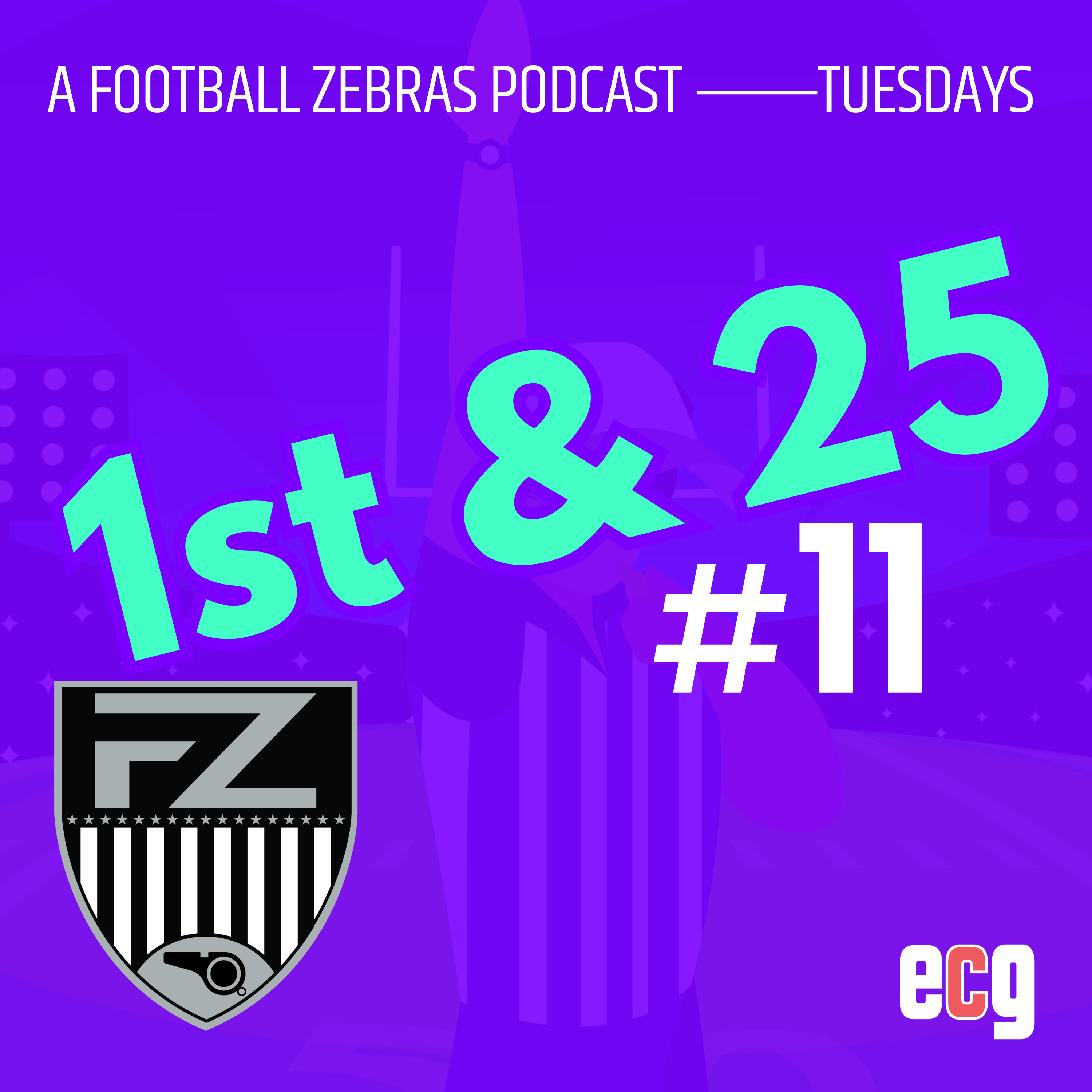 Episode 11: Professionalism and integrity – Football Zebras